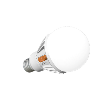 Green Creative — Lighting Supply