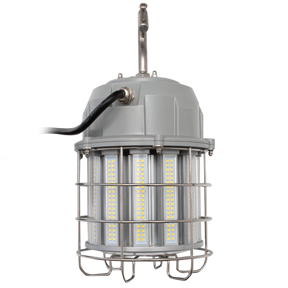 Light Efficient Design LED-9210-50K-G2 100W Caged LED High Bay ...