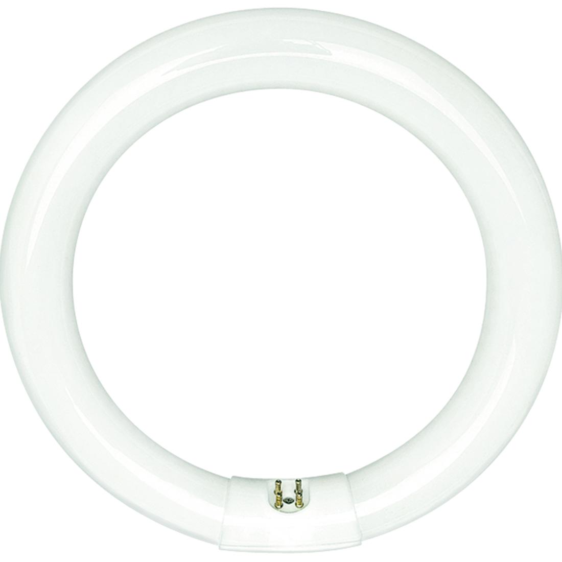 GE 33774 FC8T9/CW 33774 22W T9 Circline Compact Fluorescent 4-Pin G10Q ...