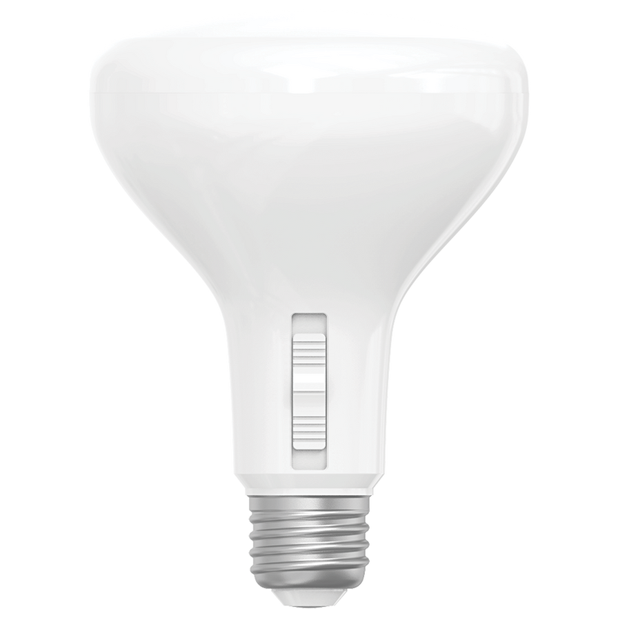 RAB BR30-7-9CCT-DIM 7W LED BR30 Reflector Bulb CCT Selectable ...