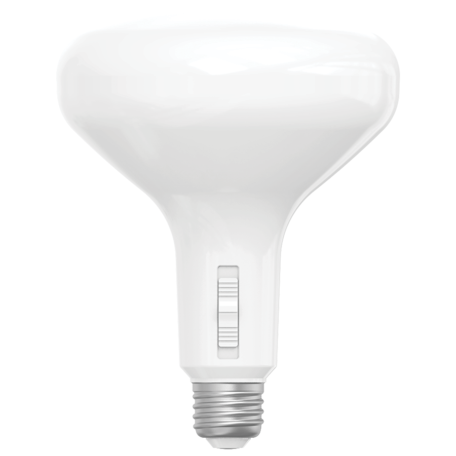 RAB BR40-21-9CCT-DIM 21W LED BR40 Reflector Bulb CCT Selectable — Lighting Supply