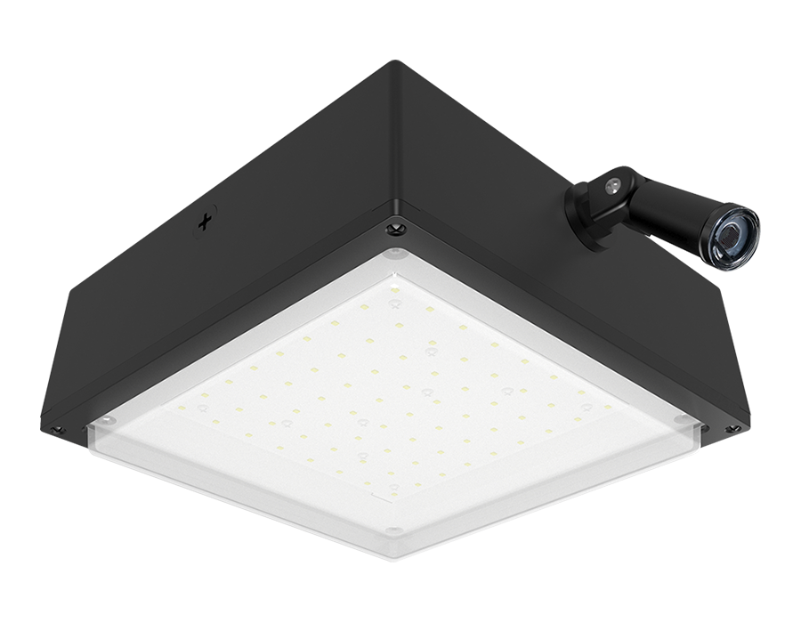 RAB VANLED65NFR/PCS VanLED 65W 4000K Drop Frosted Lens 120V Swivel PC ...