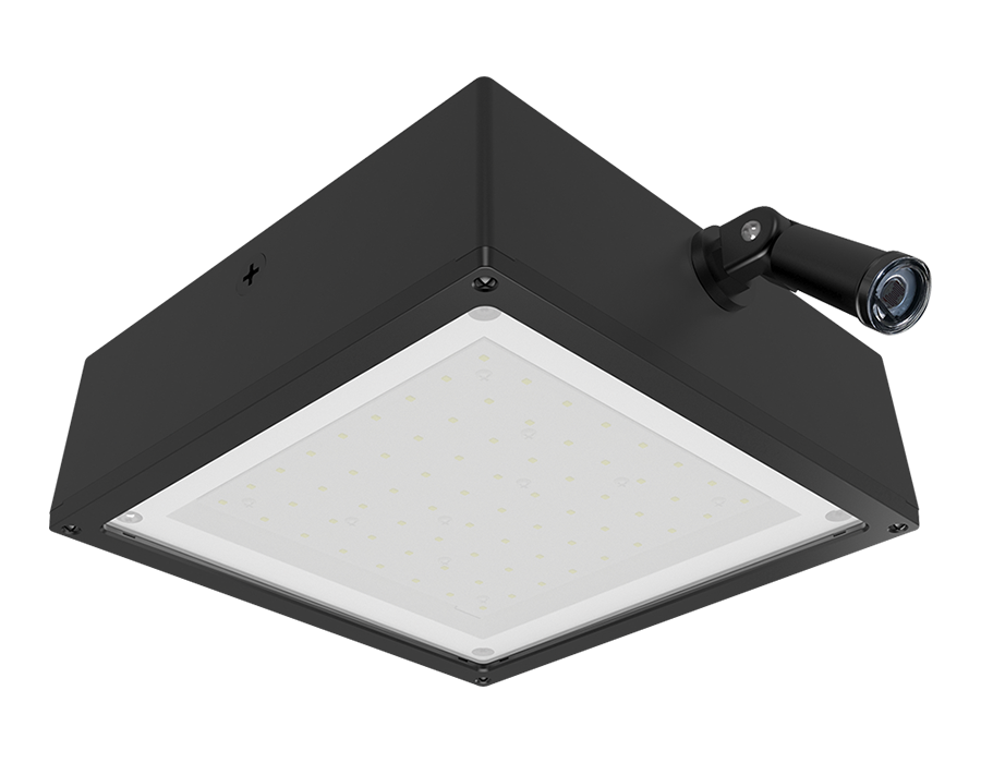 RAB VANLED65NFFR/PCS VanLED 65W Flat Frosted Lens 120V Swivel PC ...