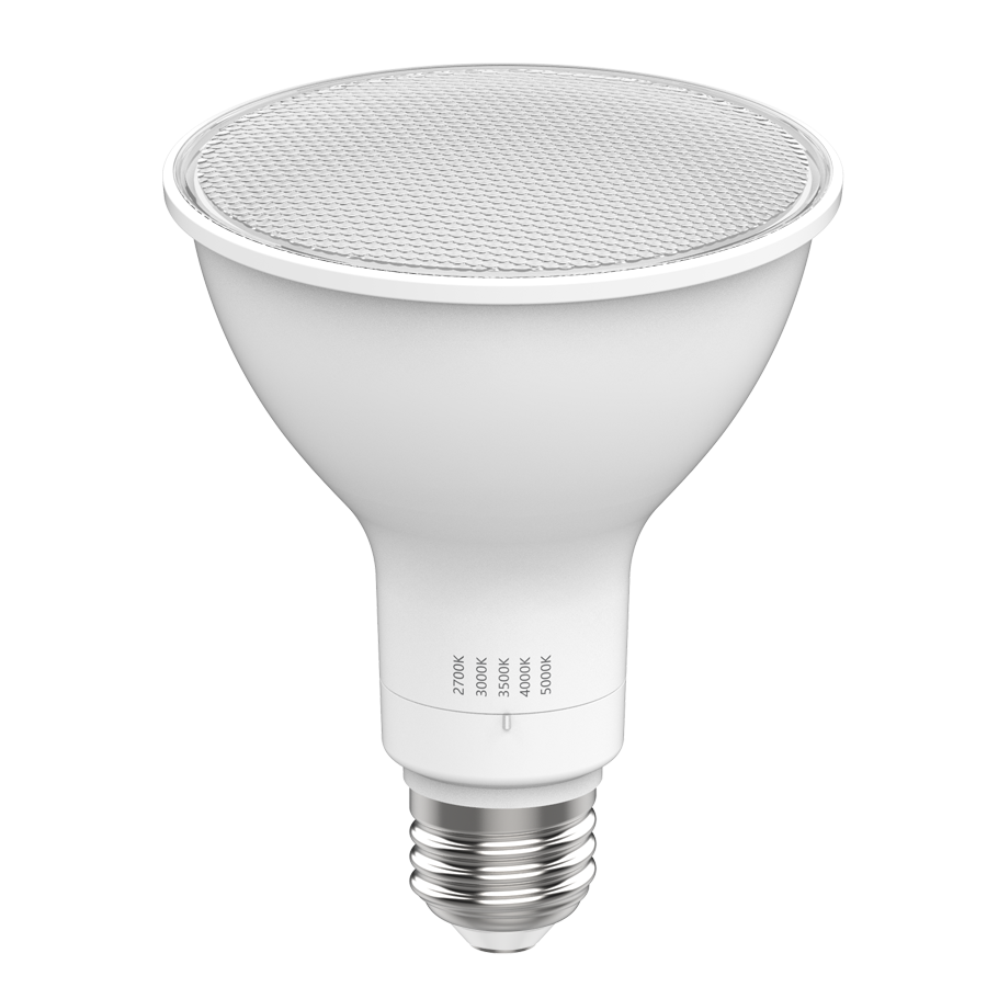 RAB PAR30LFA-11-9CCT-40D-DIM 11W LED PAR30L Lamp E26 Base — Lighting Supply