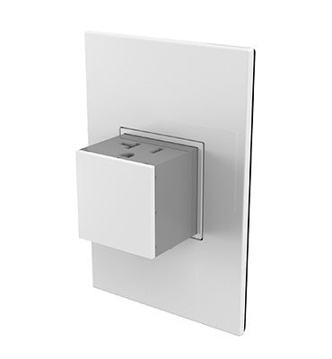 Pass and Seymour ARPTR201GW2 Popout 20A Duplex Outlet Kit 1-Gang White ...