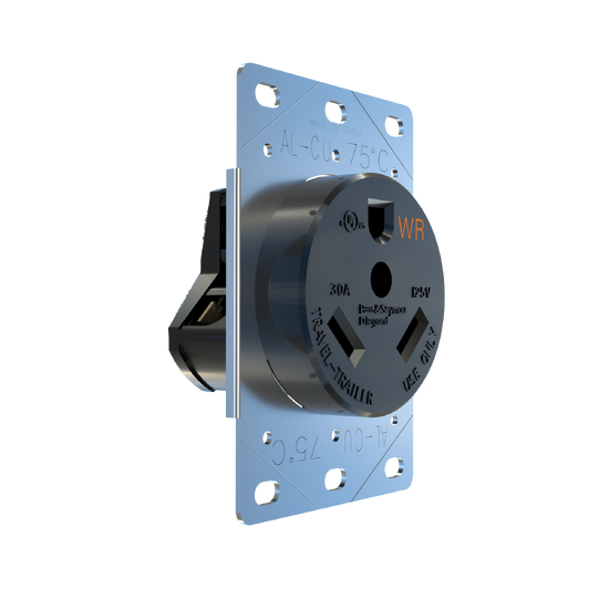 Pass and Seymour 3830WR Weather-Resistant Straight Blade Receptacle ...