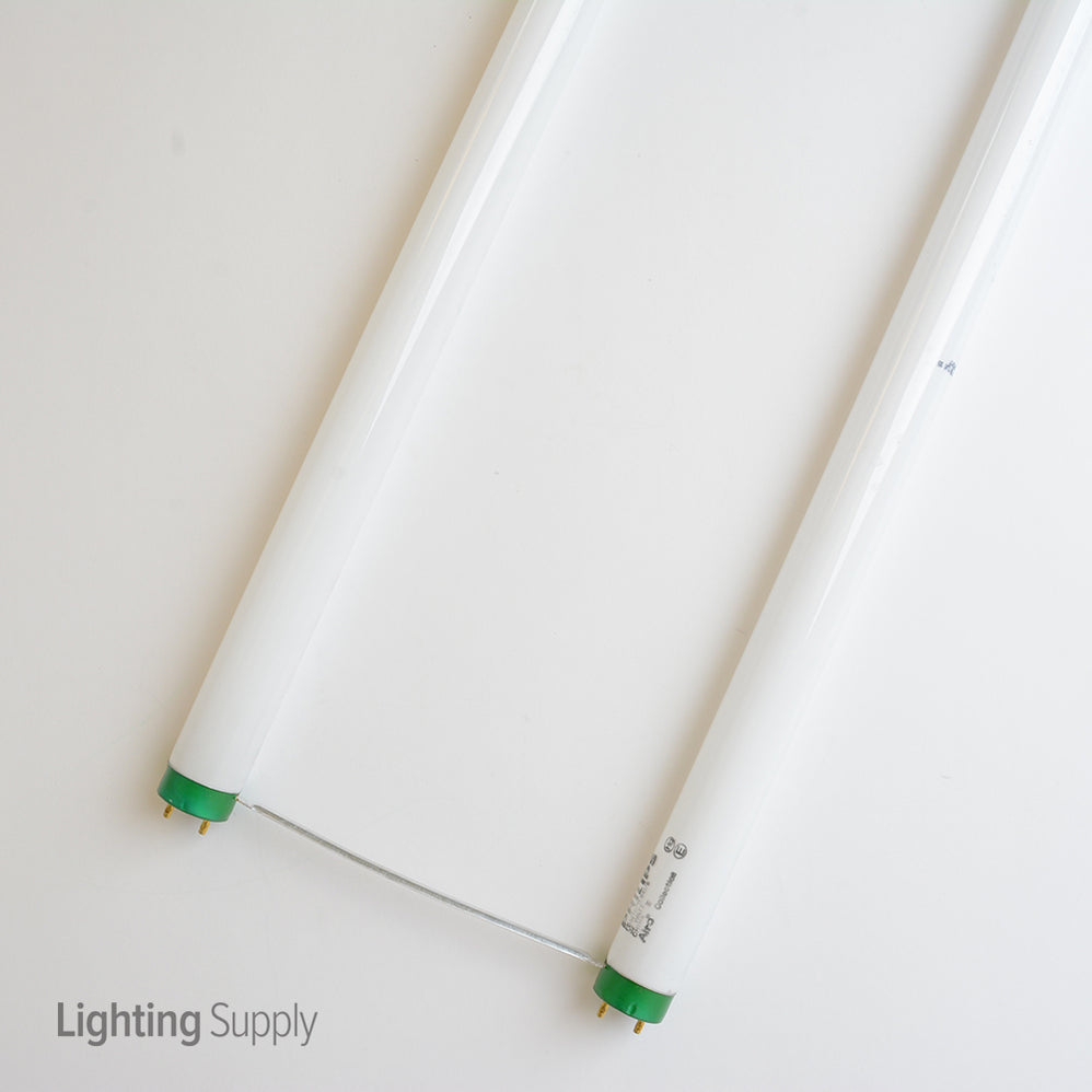 Lighting Supply | Everything Lighting & Electrical
