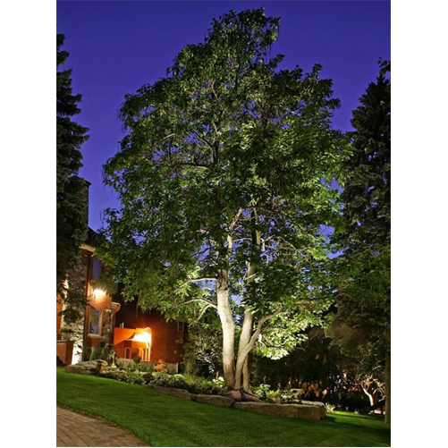 Philips 912400537463 Hadco B9DW-H Accent Line Voltage — Lighting Supply