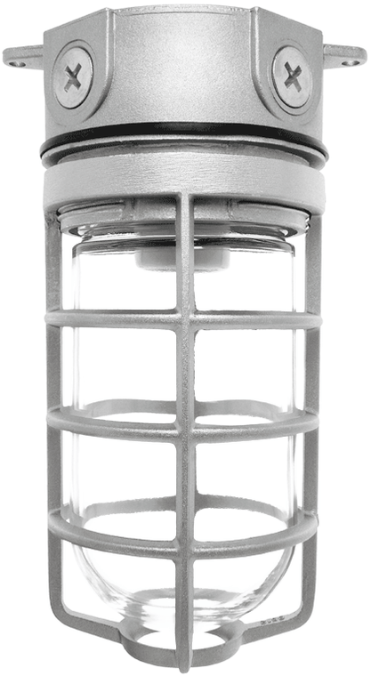 RAB — Page 7 — Lighting Supply