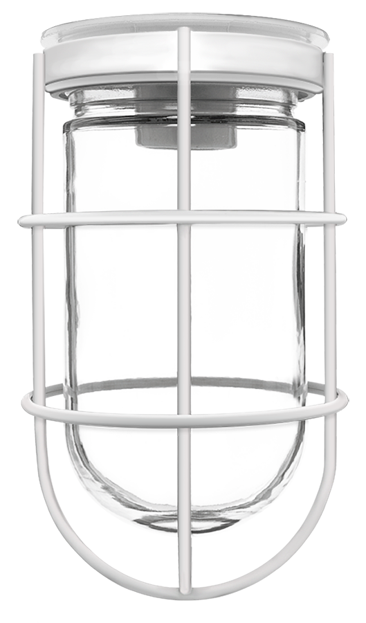 RAB VC100GW Vaporproof 100 Ceiling White With Glass Globe Wire Guard ...