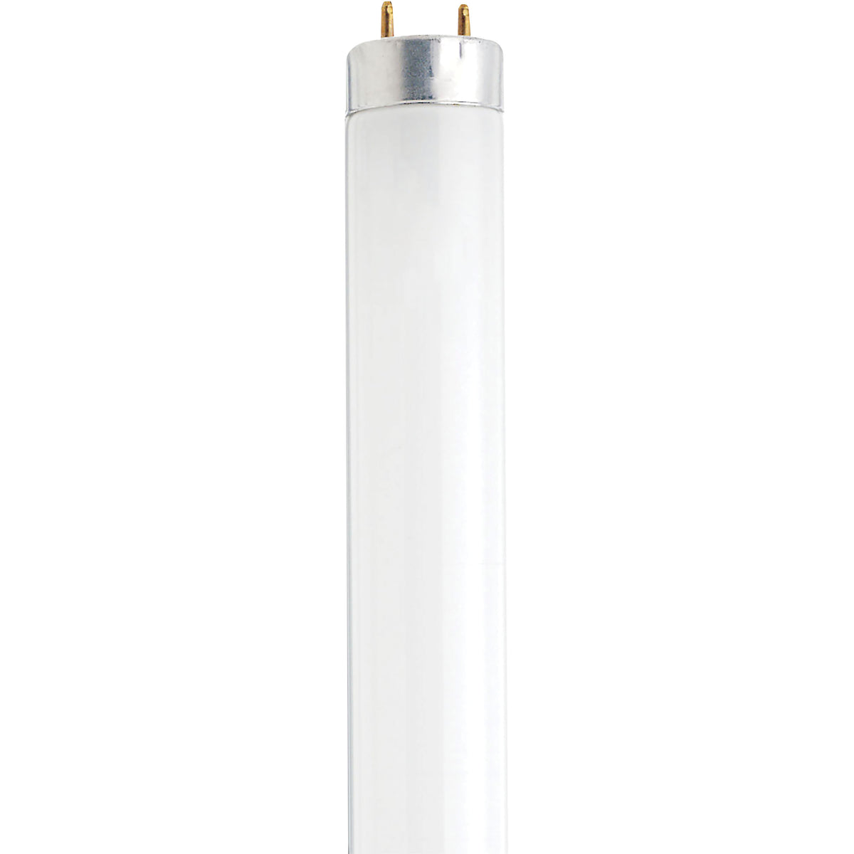 SATCO/NUVO S27931 14W Fluorescent T8 Medium Bi-Pin G13 Base — Lighting ...