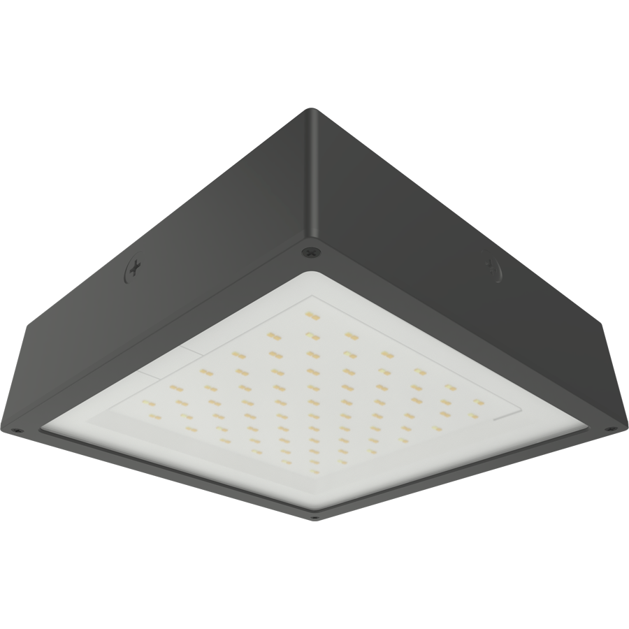 RAB VAN34-30F/E VAN34 Canopy Light Wattage/CCT Selectable — Lighting Supply
