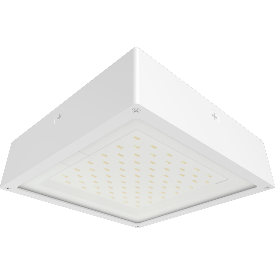 RAB VAN34-30FW VAN34 Canopy Light Wattage/CCT Selectable — Lighting Supply