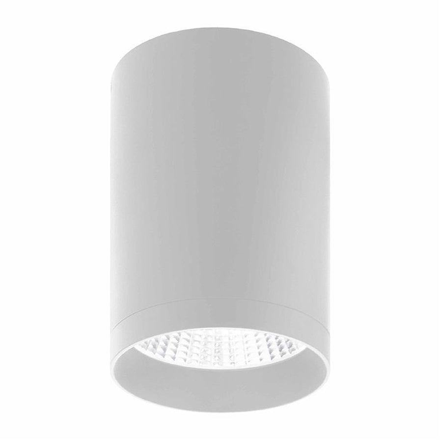 Westgate Manufacturing CMC6-MCTP-DD-WH 6 Inch Ceiling Mount Cylinder ...